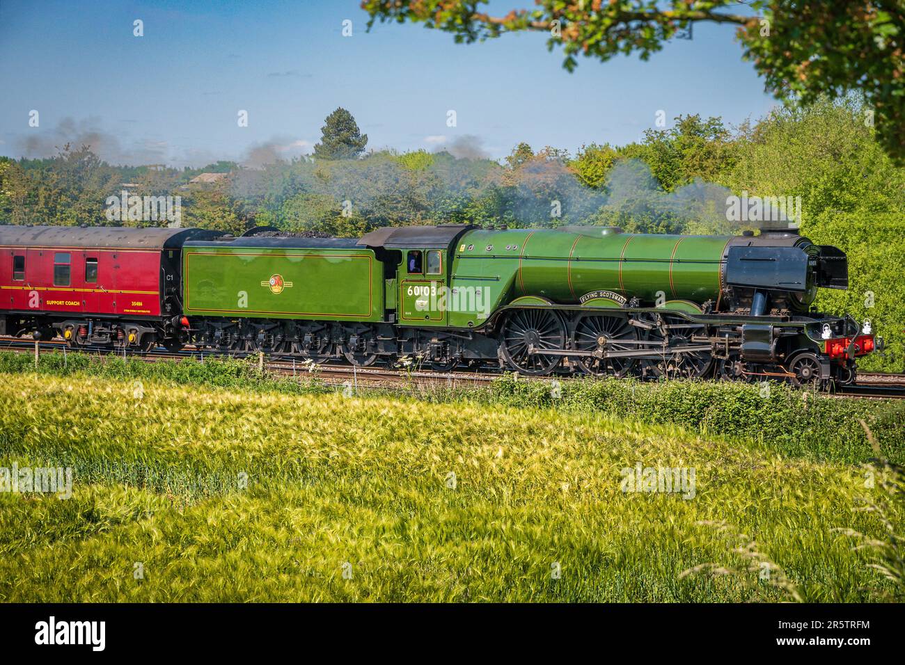 The Flying Scotsman A3 Pacific steam locomotive at speed Stock Photo ...