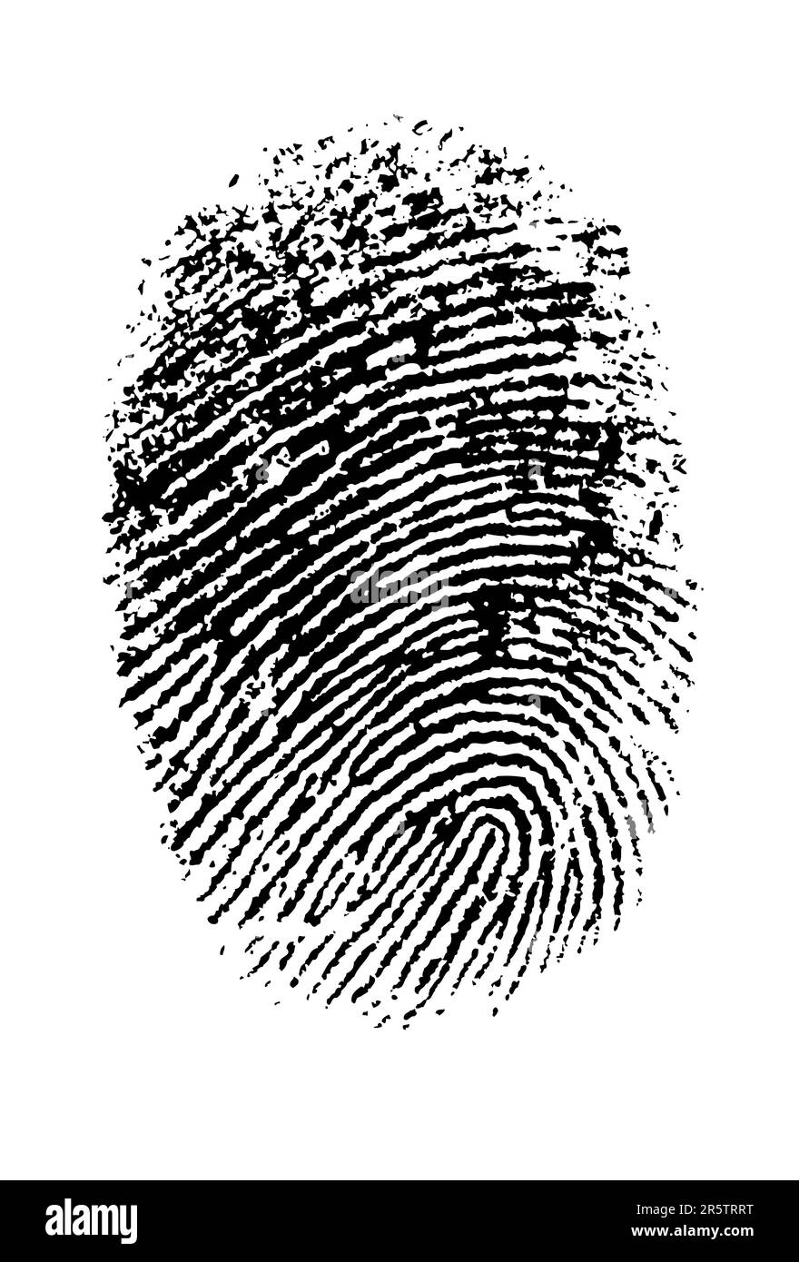 Vector Illustration Of A Thumbprint Stock Vector Image Art Alamy vector-illustration-of-a-thumbprint-stock-vector-image-art-alamy