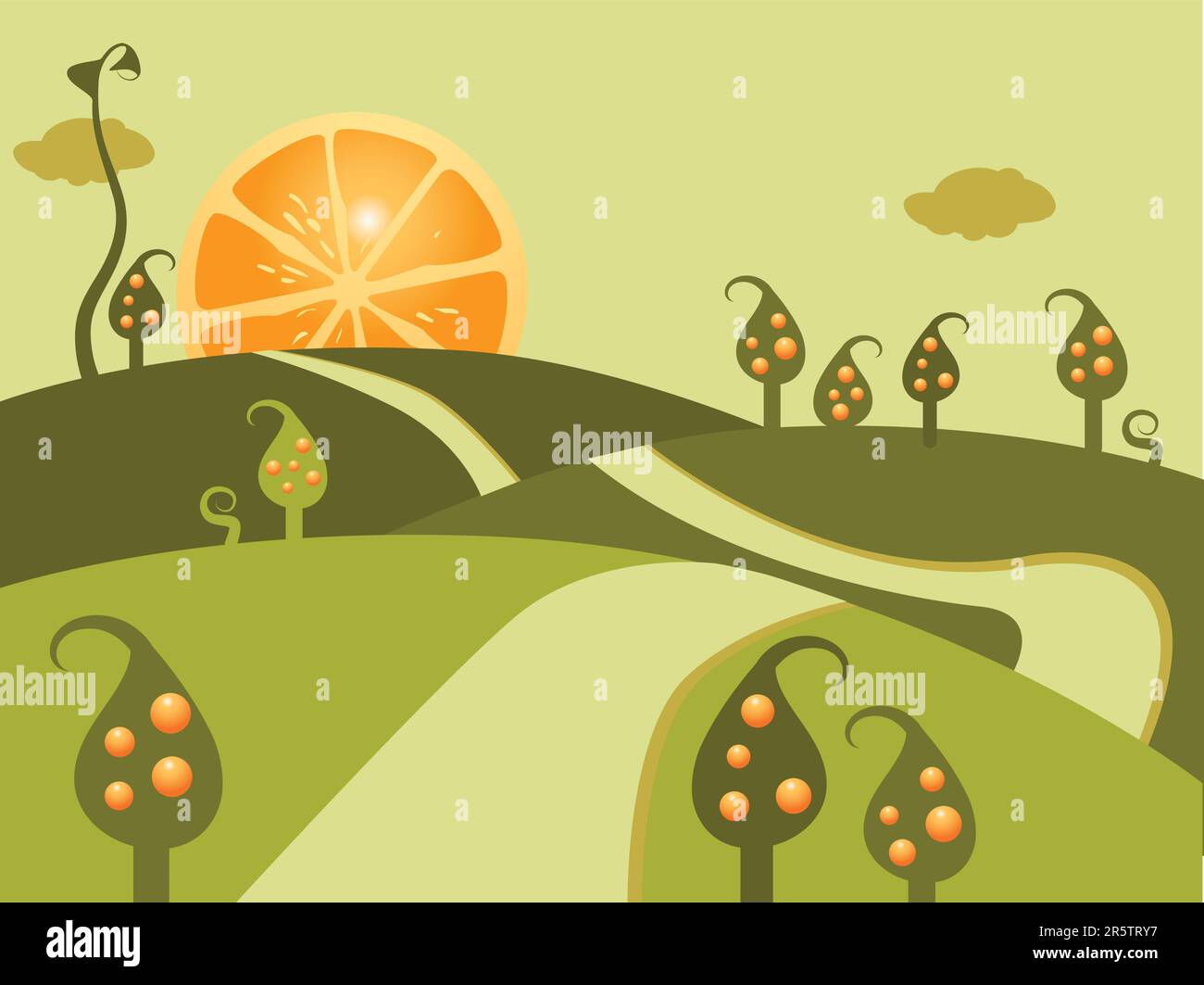 Orange Tree Background Check