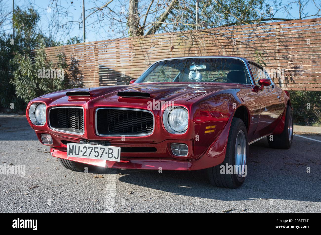 Maroon Firebird Car