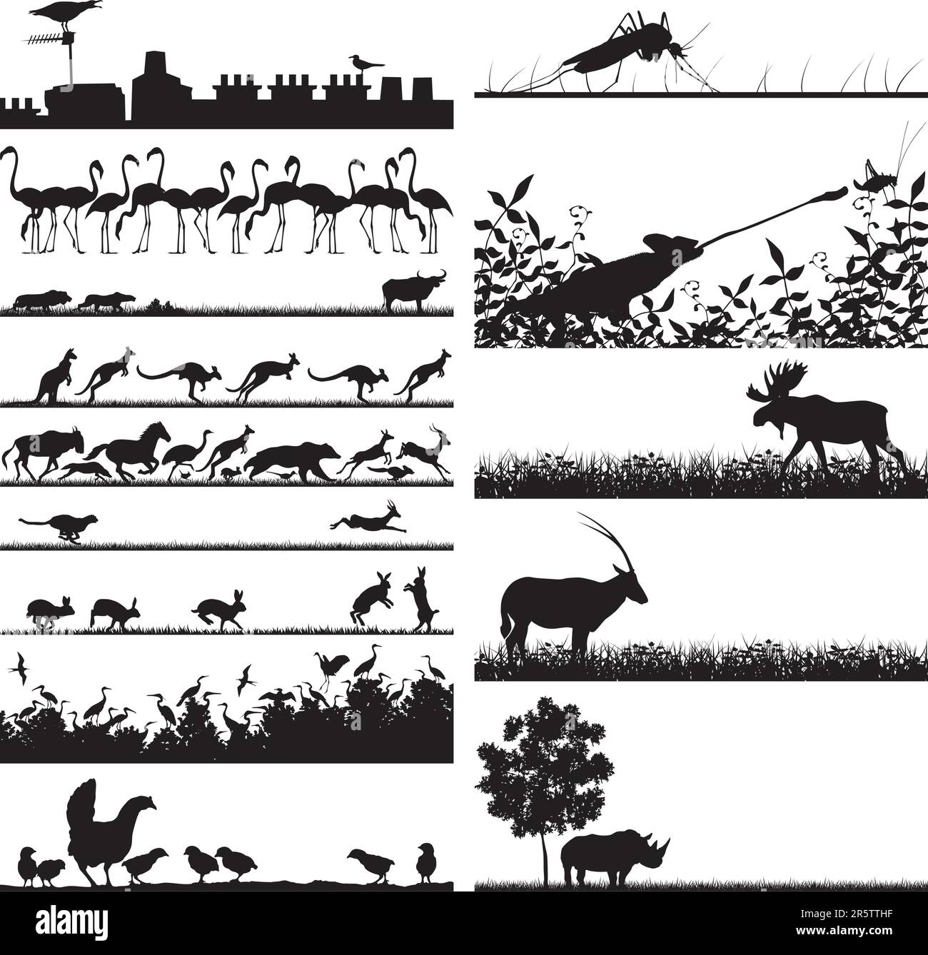 Selection of vector outline foregrounds of animals Stock Vector Image ...