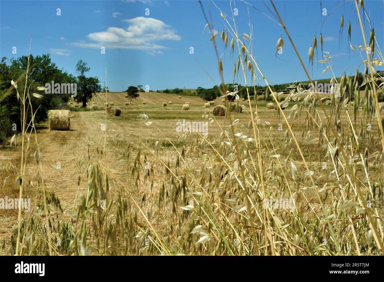 Sprawling fields hi-res stock photography and images - Alamy