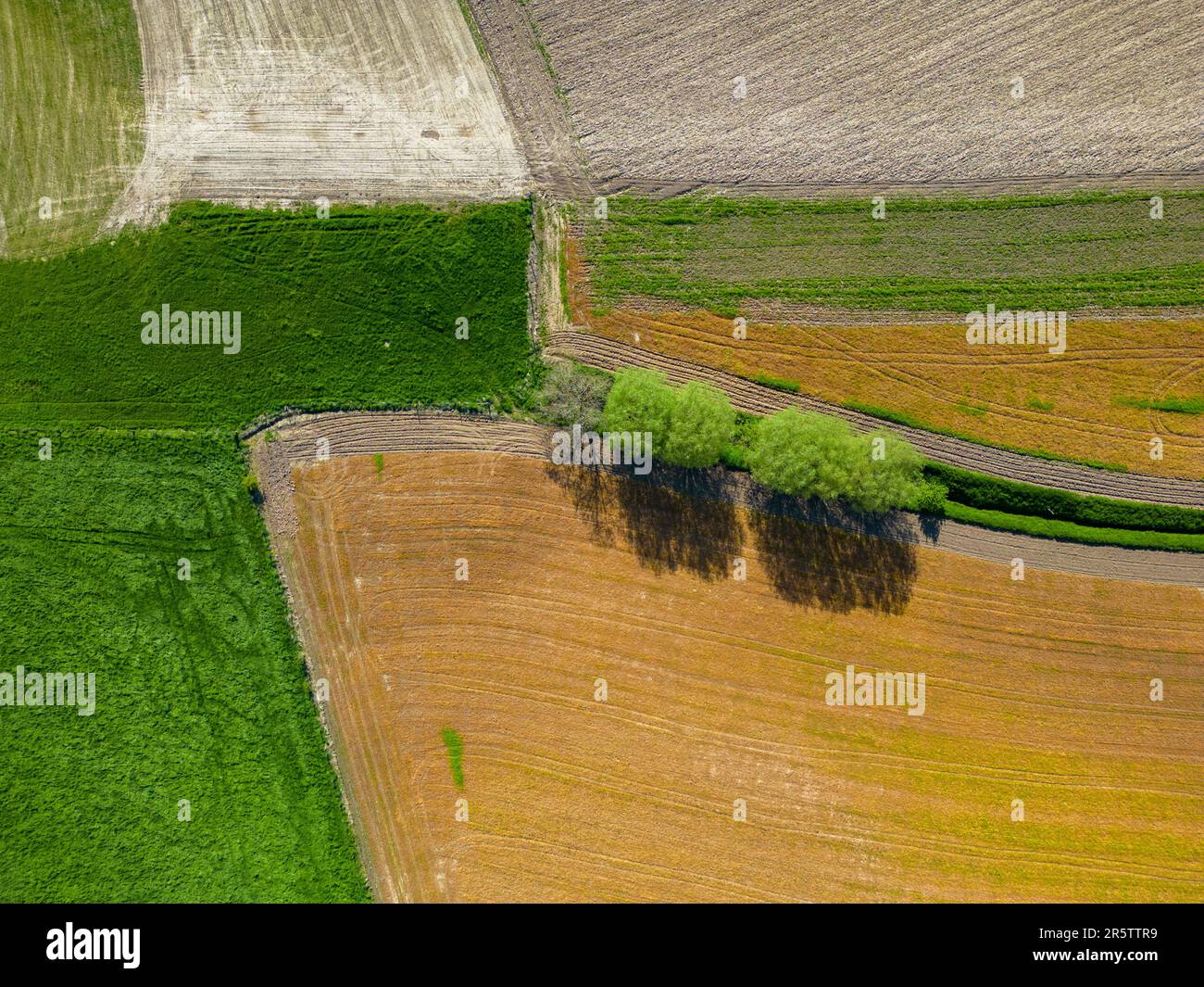 Forming patterns hi-res stock photography and images - Alamy