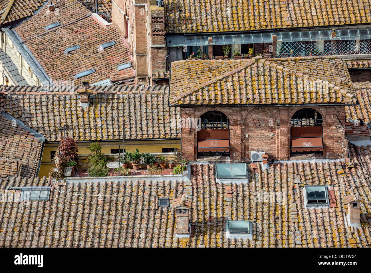 Elevated high-angle perspective over the building roofs of Siena ...
