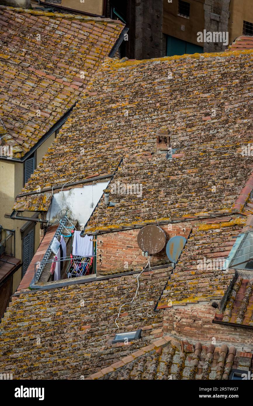 Laundry. Elevated high-angle perspective over the building roofs of ...