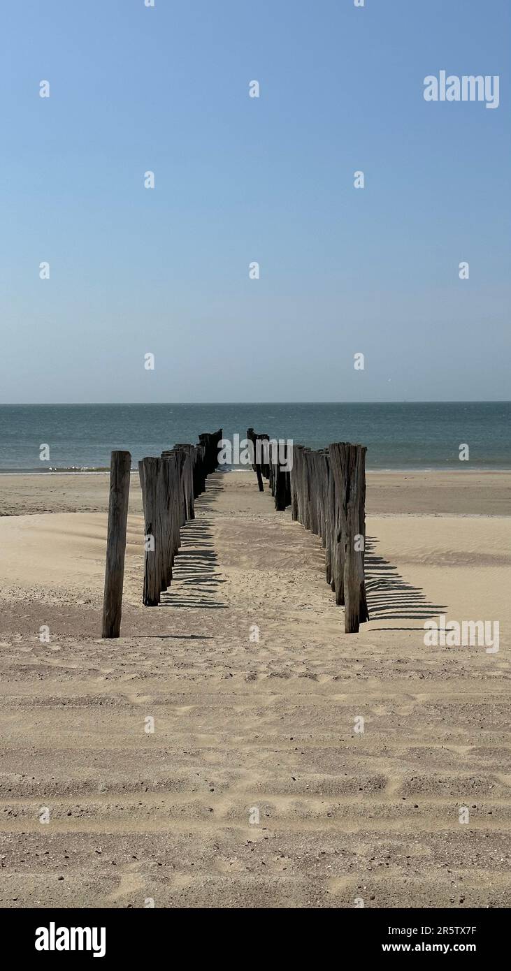 A scenic view of poles on a sandy beach near the sparkling blue ocean ...