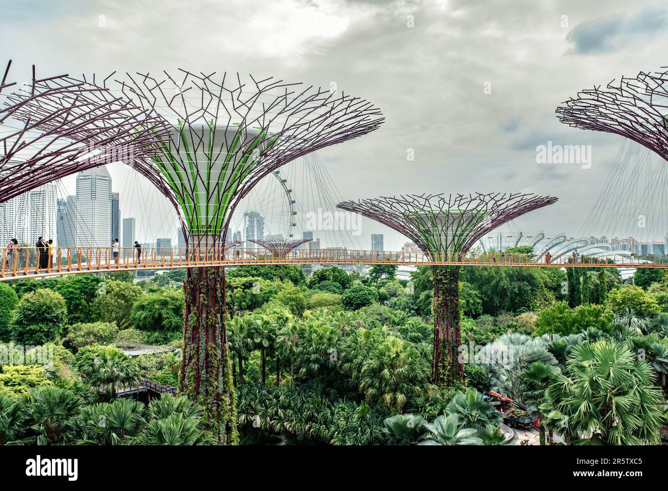 Elevated walkway at Gardens by the bay in Singapore Stock Photo - Alamy