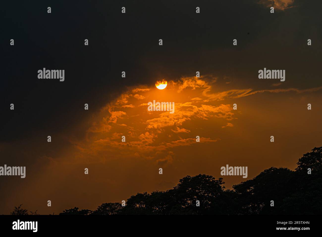 Yellow sun coming out of the sea hi-res stock photography and images ...