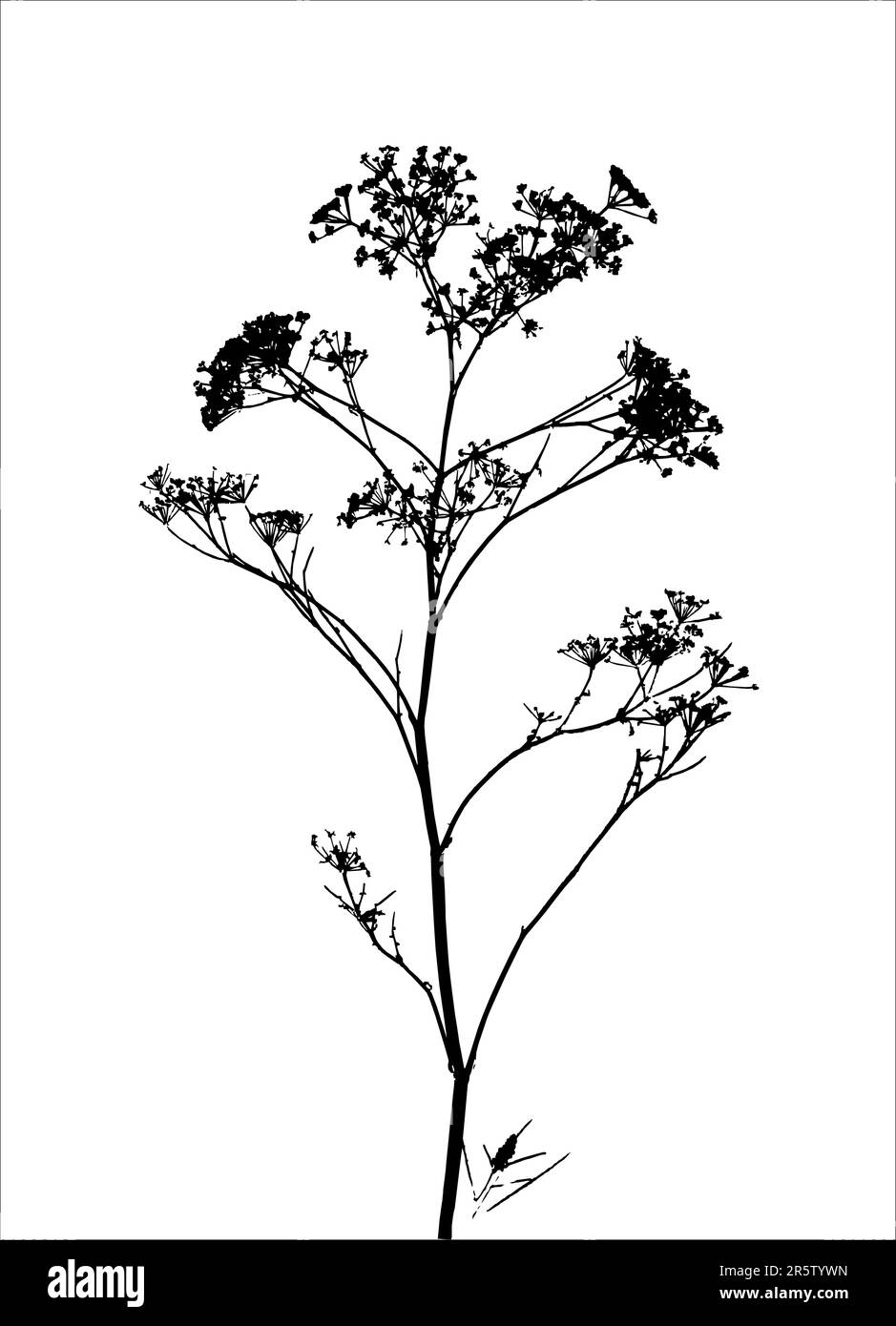 Image field 1 Stock Vector Images - Alamy