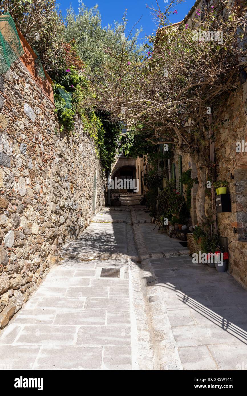 typical southern side street with houses and plants on the Cote d'Azur ...