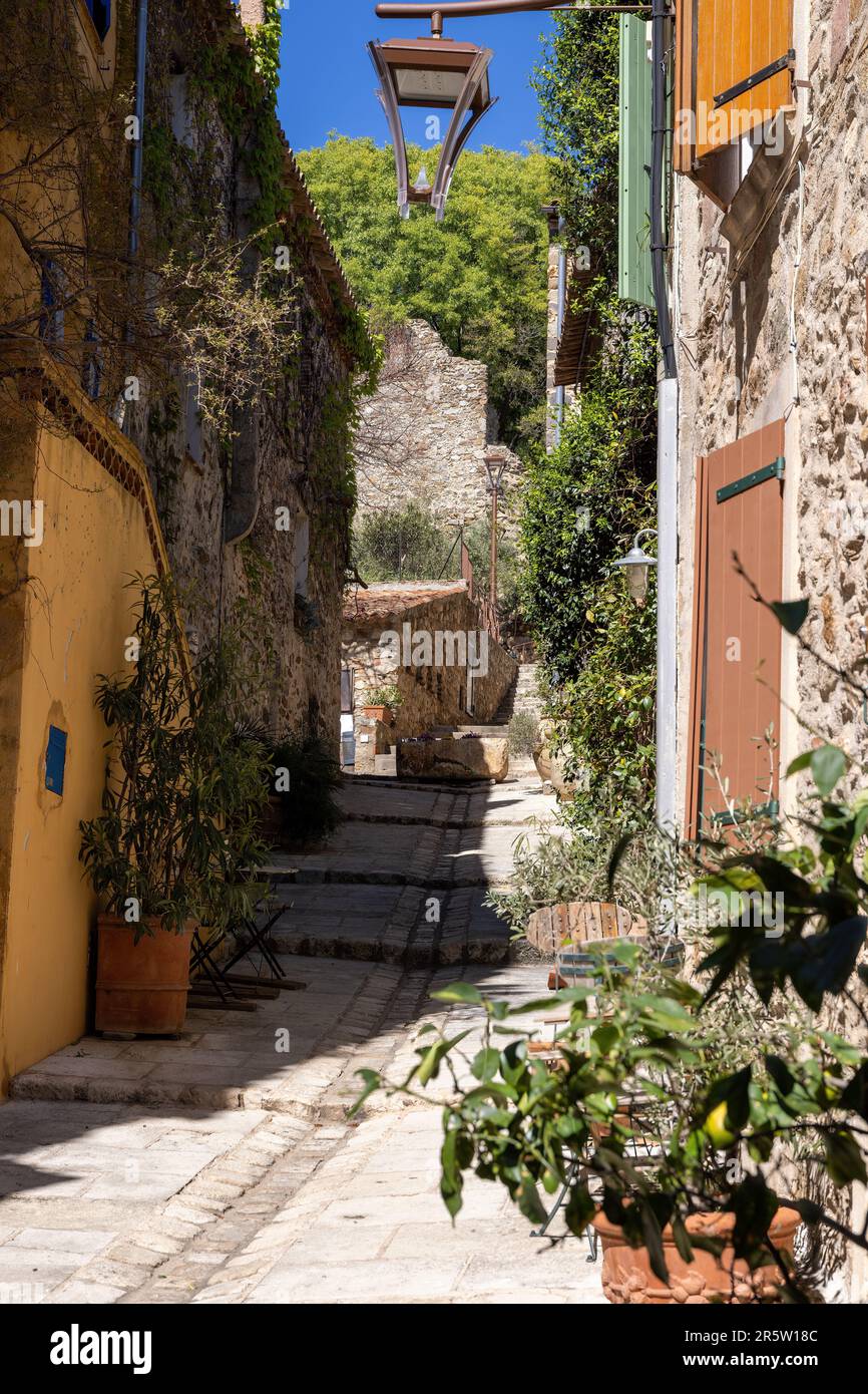 typical southern side street with shops and plants on the Cote d'Azur ...