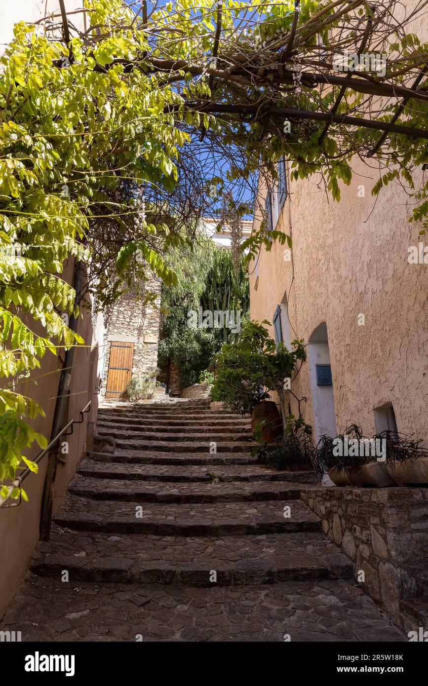 typical southern side street with shops and plants on the Cote d'Azur ...