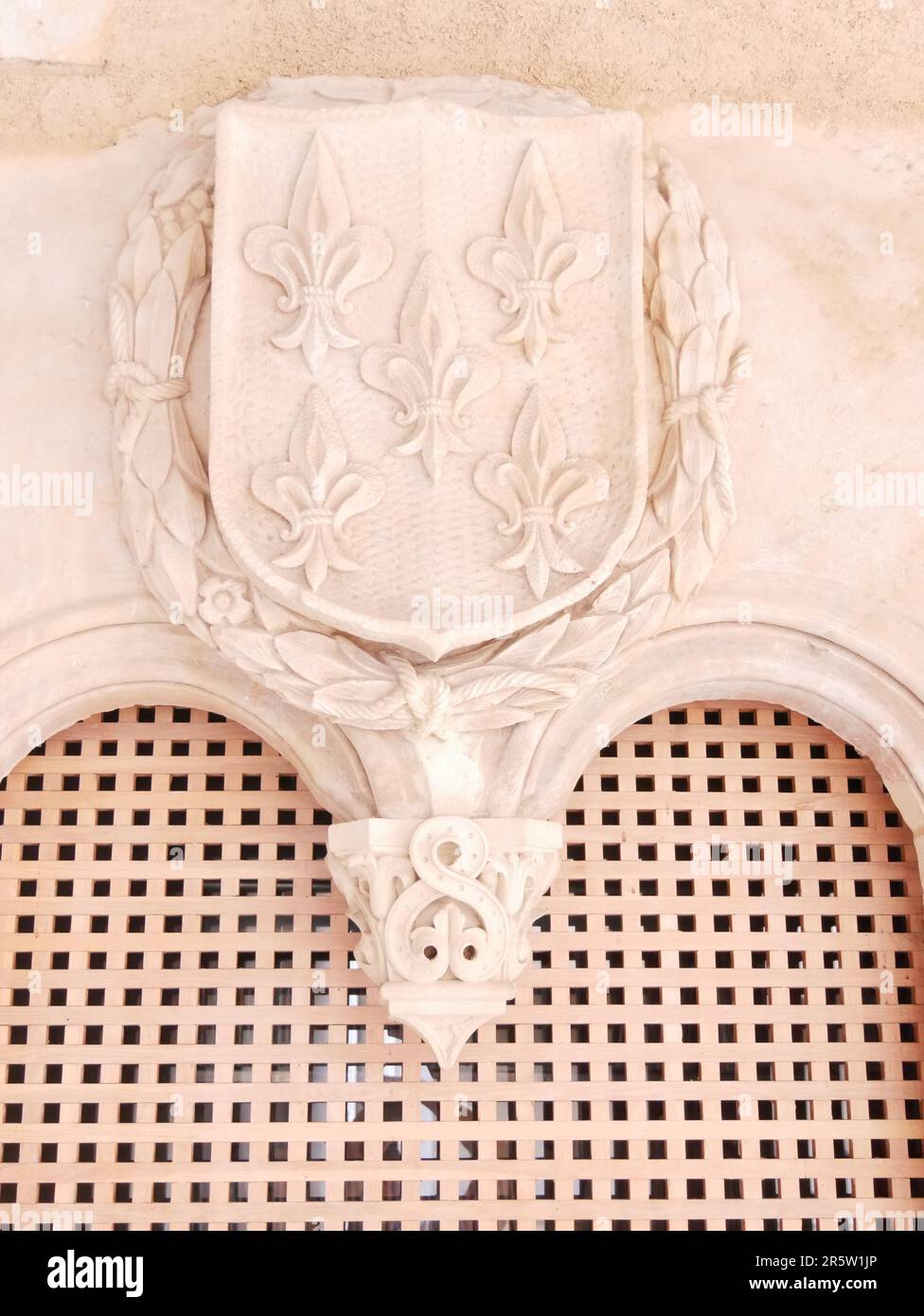 Vertical image of the coat of arms with fleurs-de-lys and vegetal ...