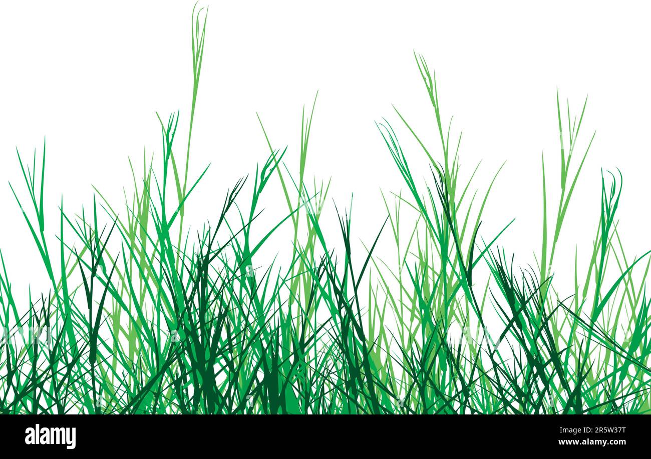 Editable vector foreground design of rough grass Stock Vector Image ...