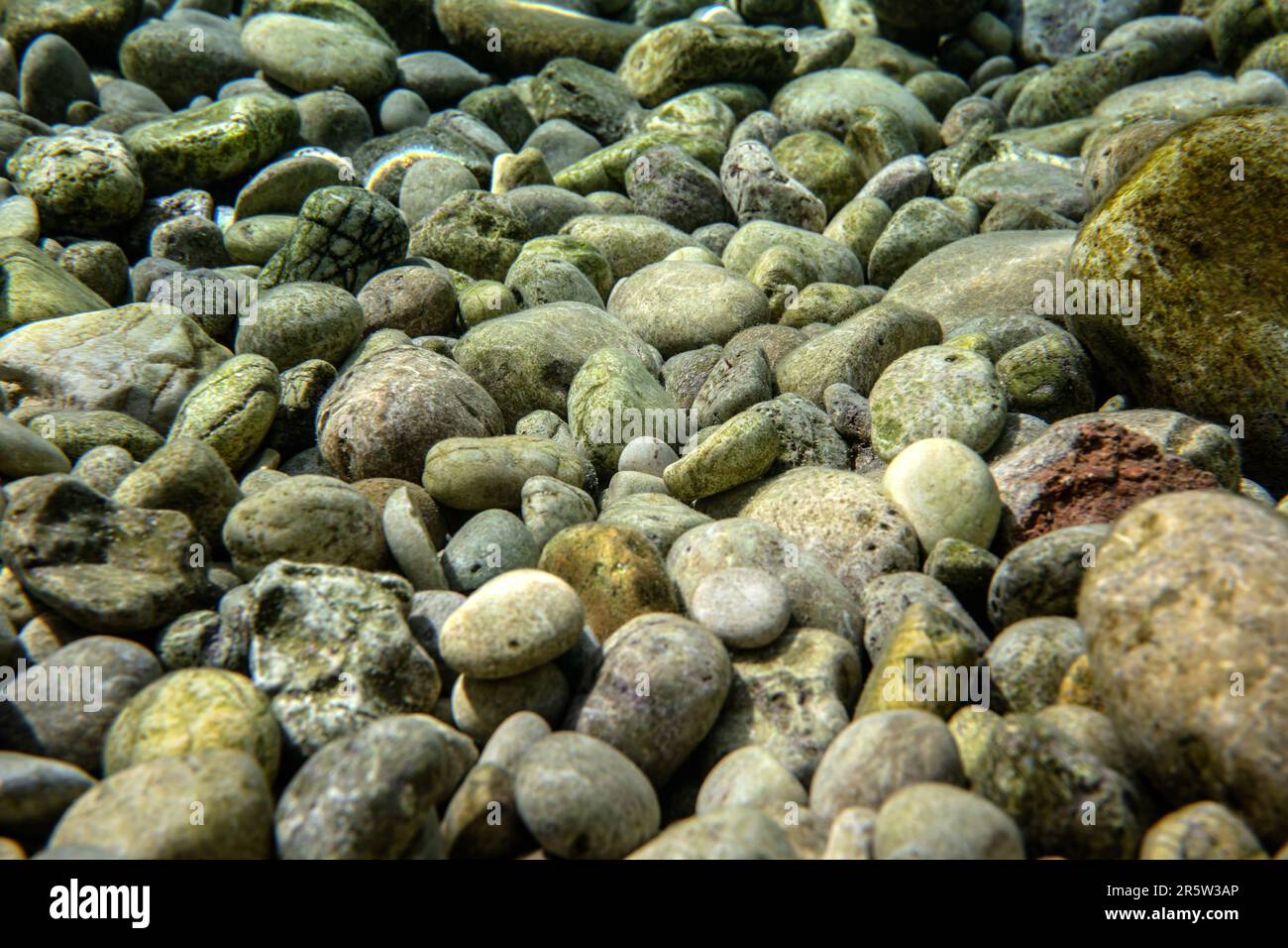 Small round rocks or pebbles covered with green algae, closeup ...