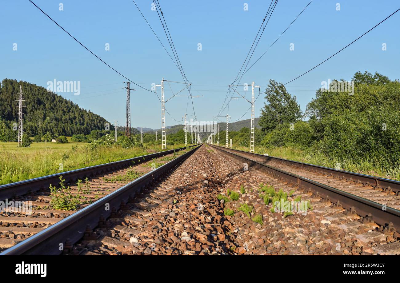 Railroad tracks, some plants growing between ties, low angle view ...