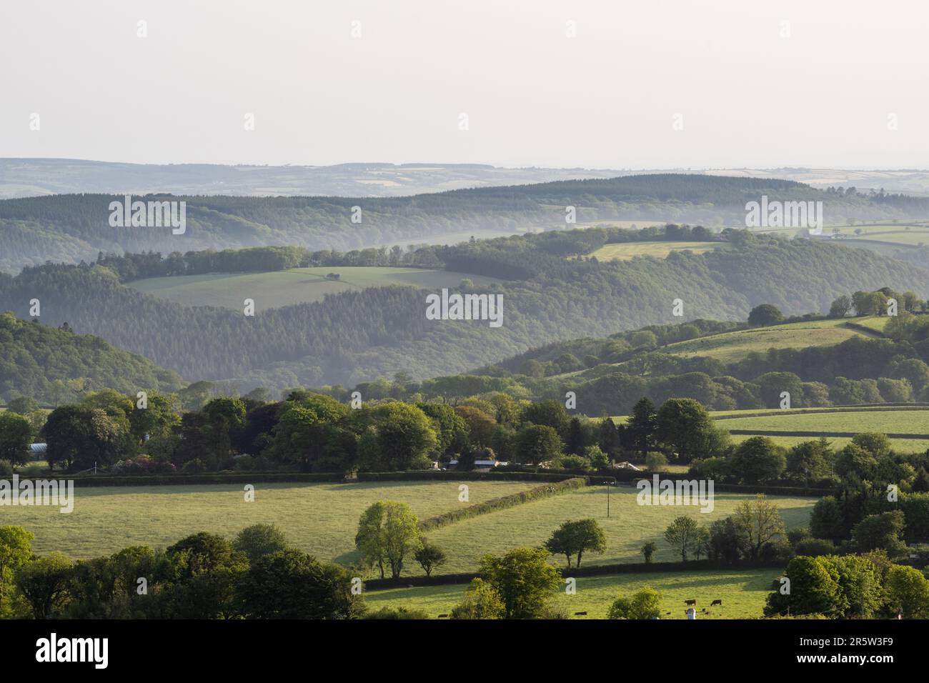 Morning mist rises from Lydford Forest and Lew Wood in the rolling ...