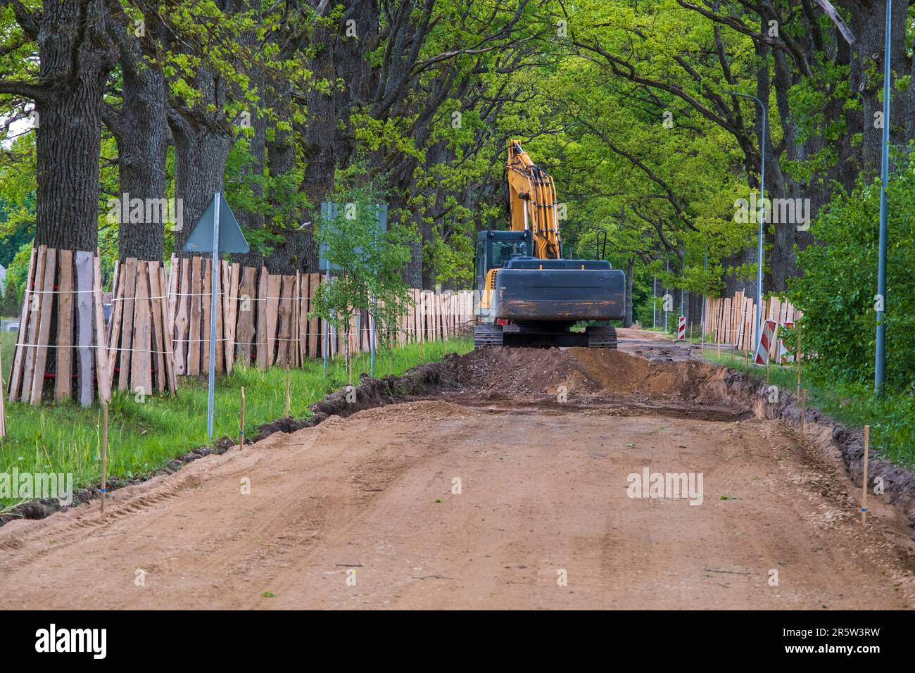 Tree trunk protection. A tree trunk covered with boards to protect from ...