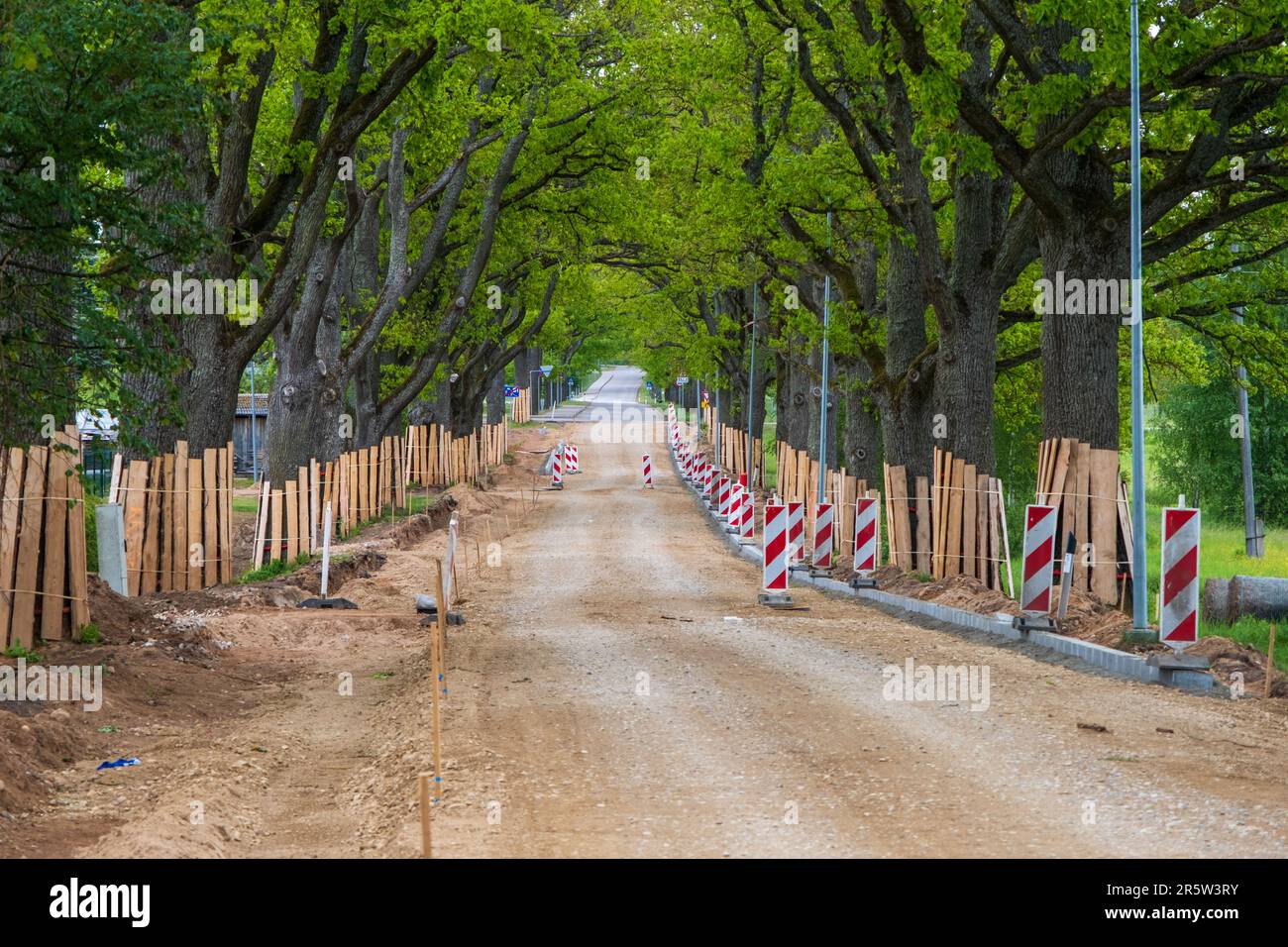 Tree trunk protection. A tree trunk covered with boards to protect from ...
