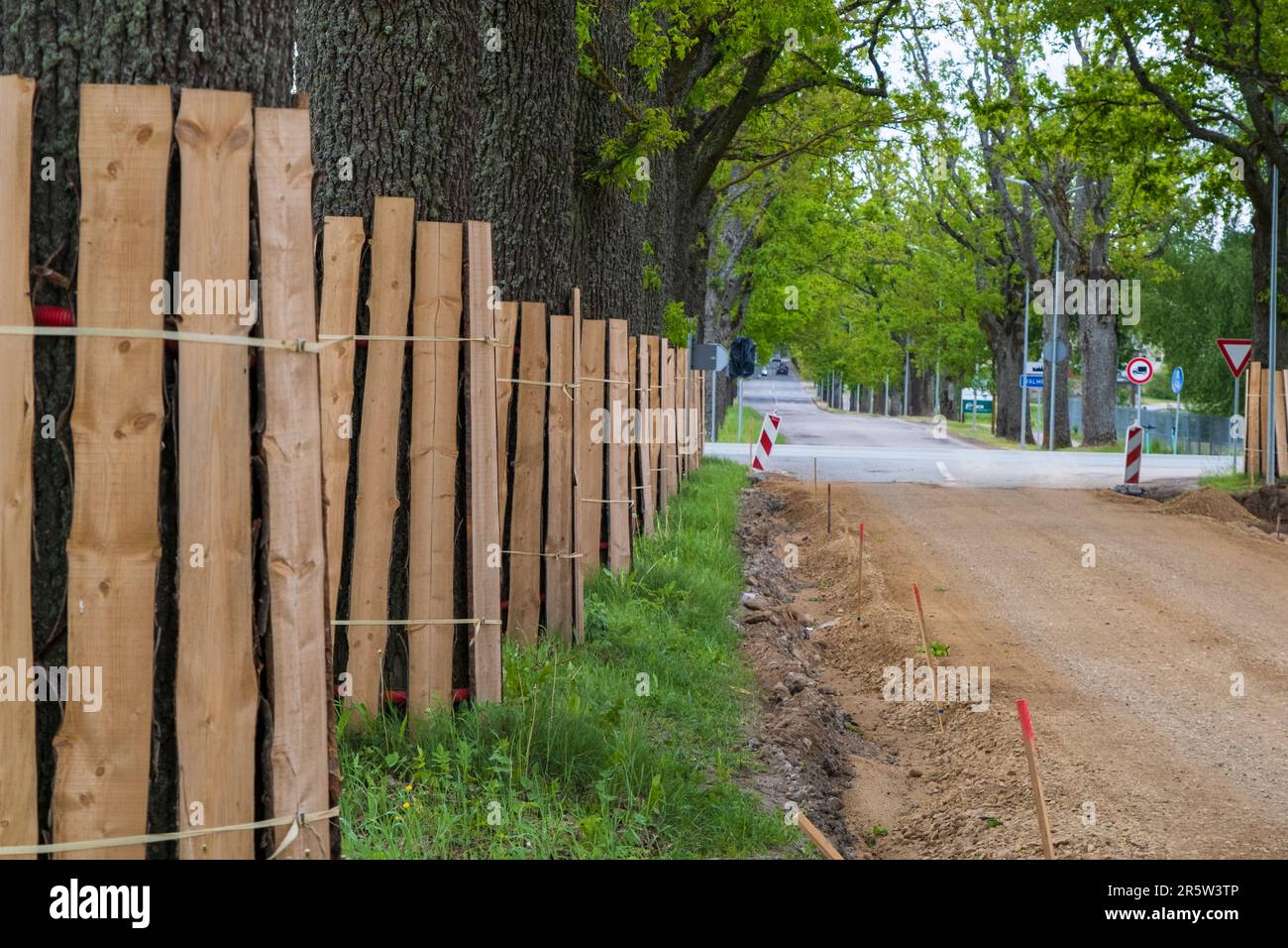 Tree trunk protection. A tree trunk covered with boards to protect from ...