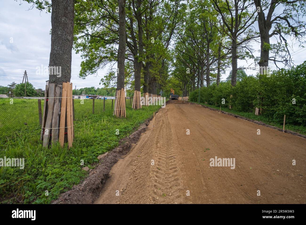 Tree trunk protection. A tree trunk covered with boards to protect from ...