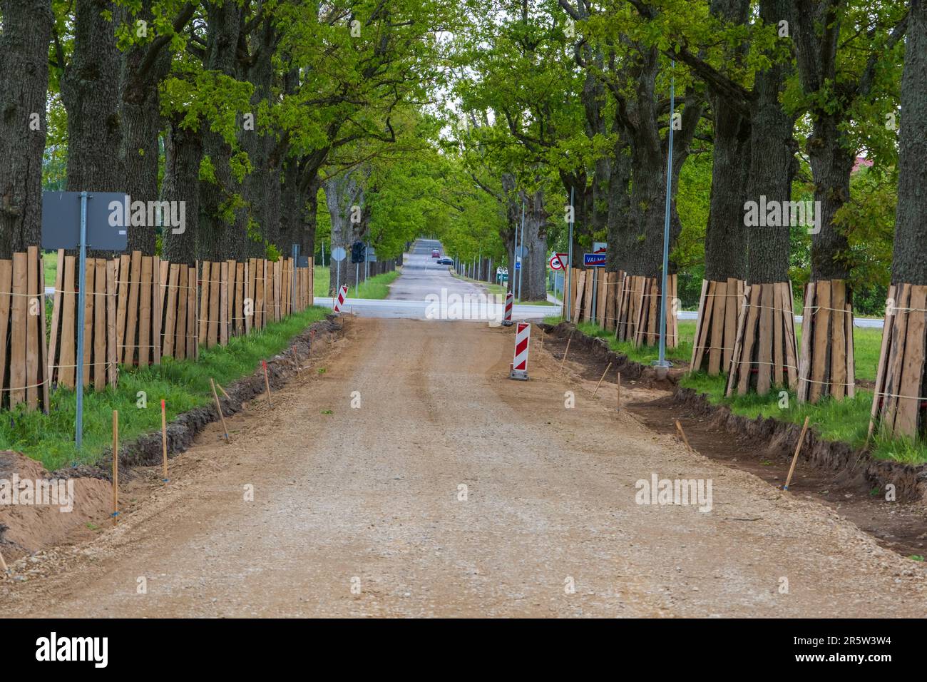 Tree trunk protection. A tree trunk covered with boards to protect from ...