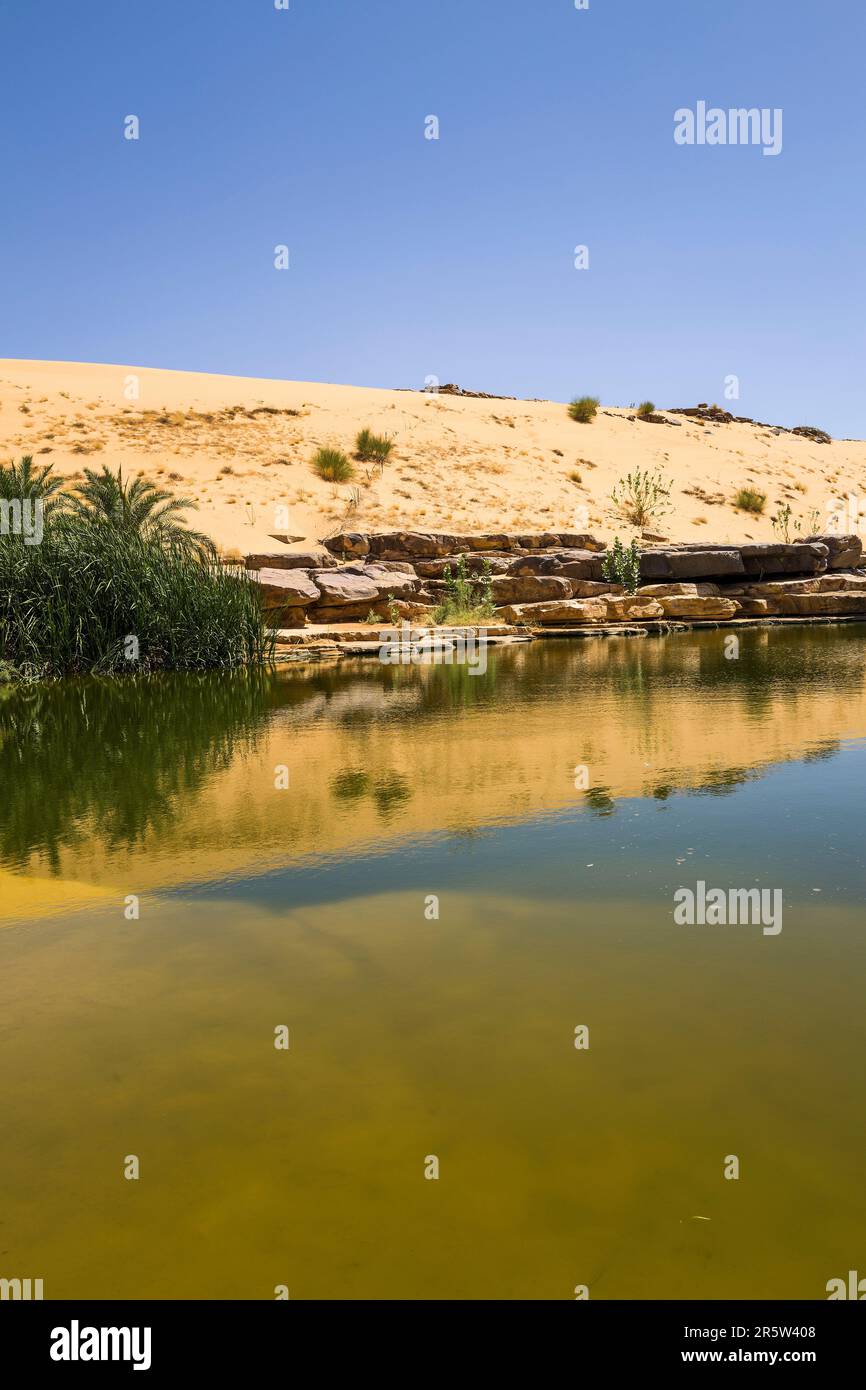 Oasis Geography Definition