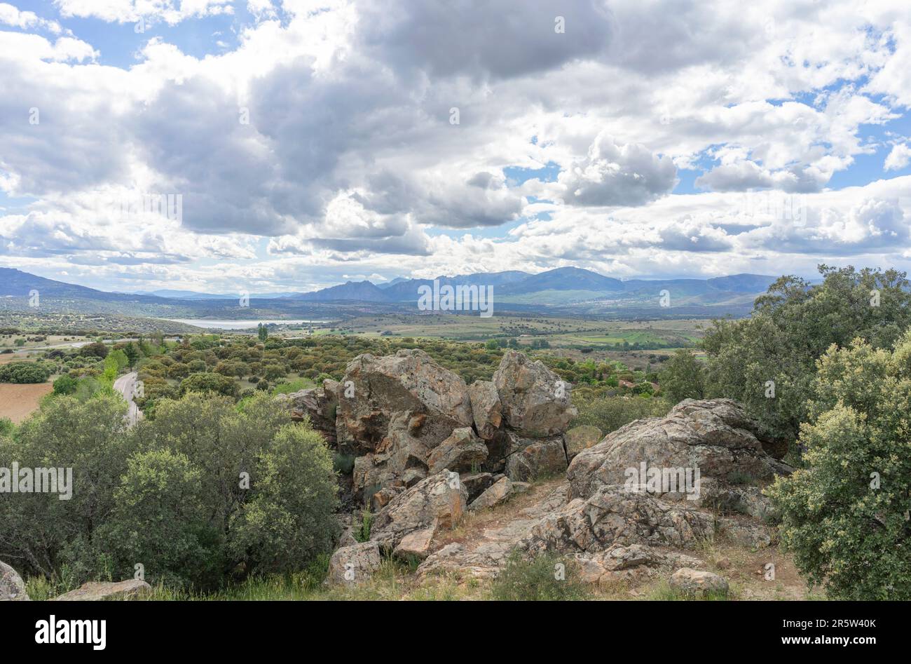 Monterrey forest hi-res stock photography and images - Alamy