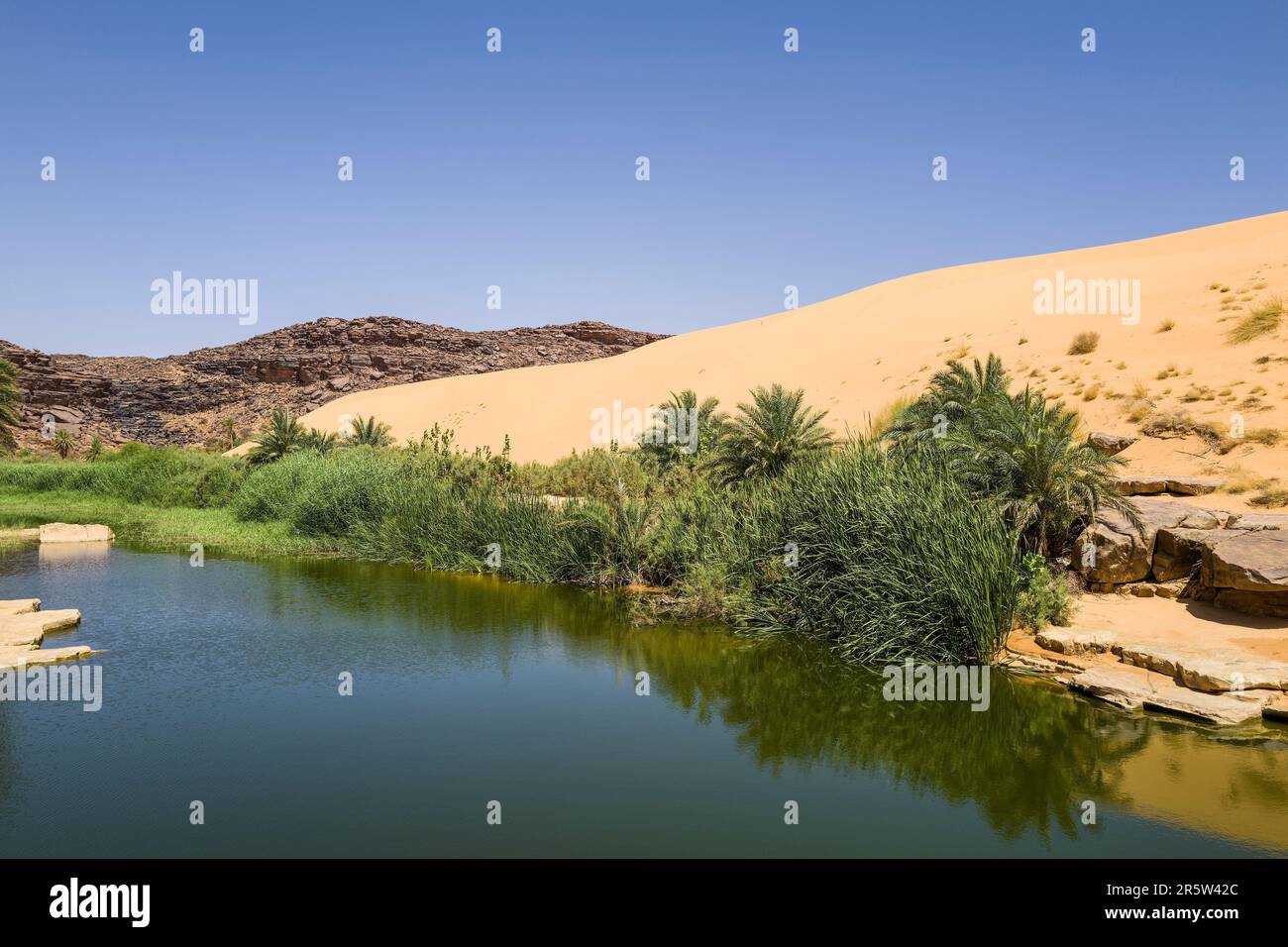 Oasis Geography Definition