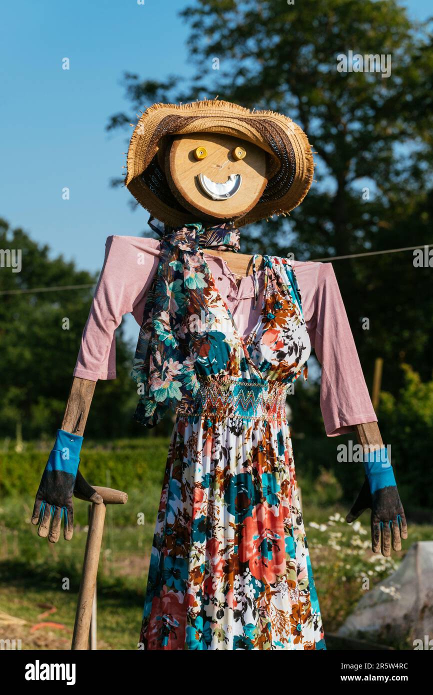 Scarecrow in a vegetable garden with traditional German farm in the ...