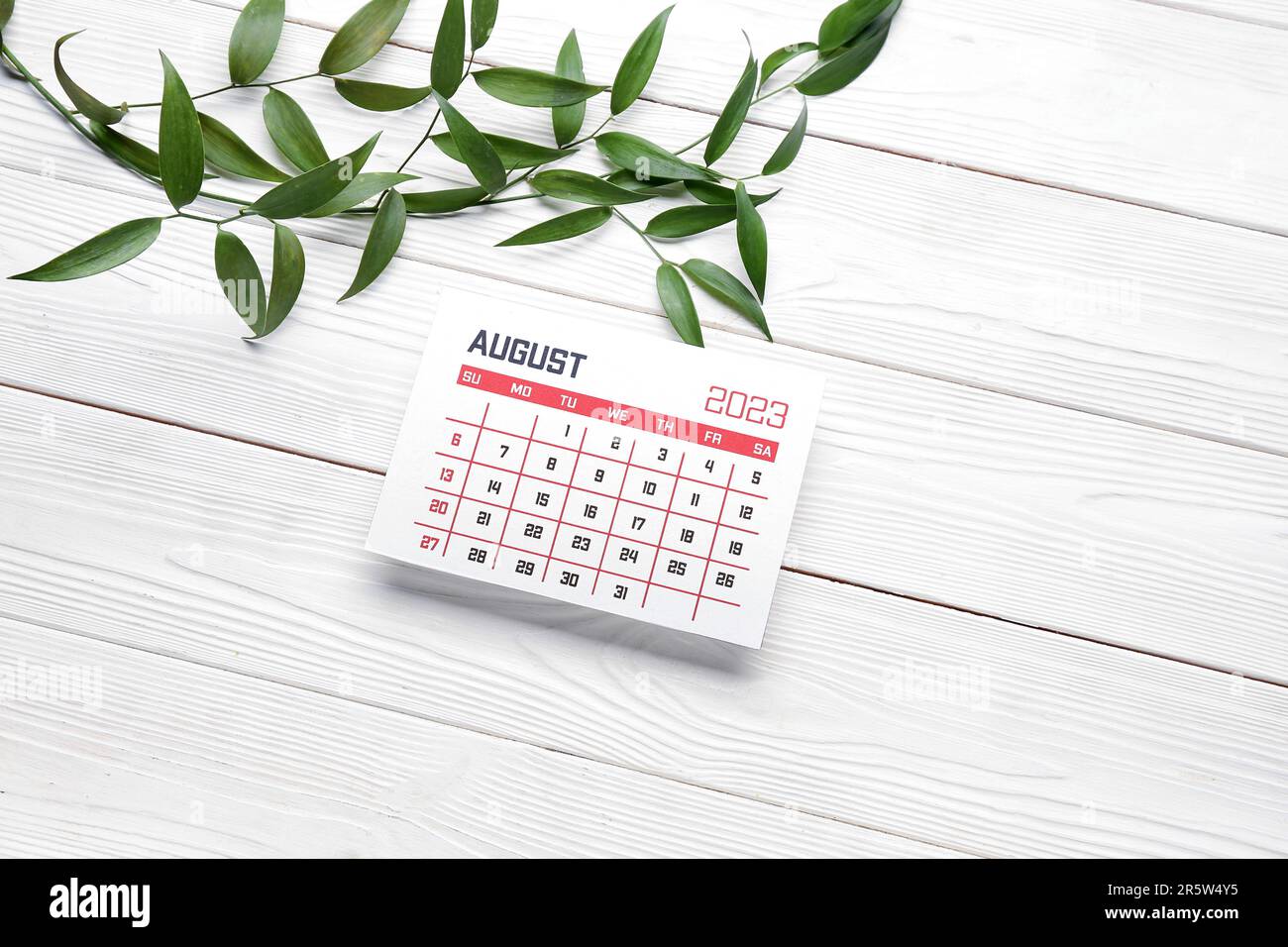 Calendar and eucalyptus branches on white wooden background Stock Photo ...