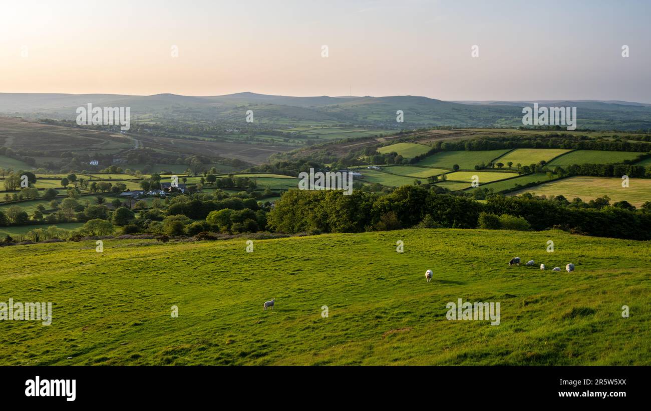 Morning light shines on the Tavy Valley and the western tors of ...