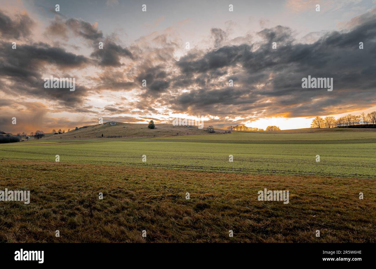 A cheerful scene of a sunlit landscape featuring a rolling field of ...