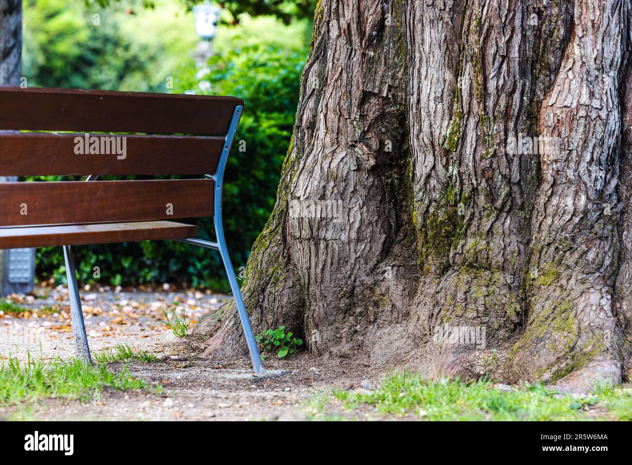 A bench and an old tree trunk Stock Photo - Alamy
