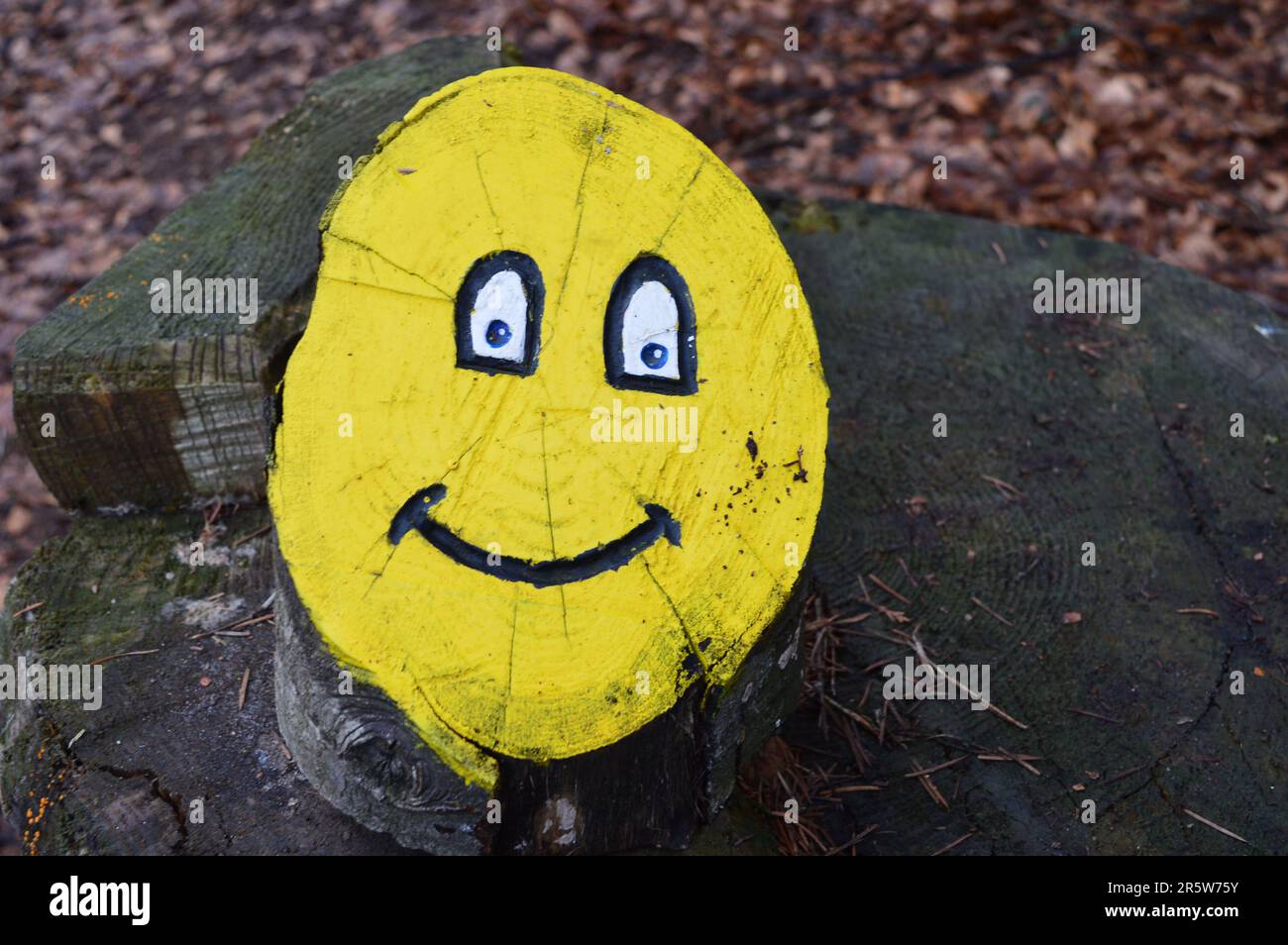 Smiley face painted in a tree stump Stock Photo - Alamy