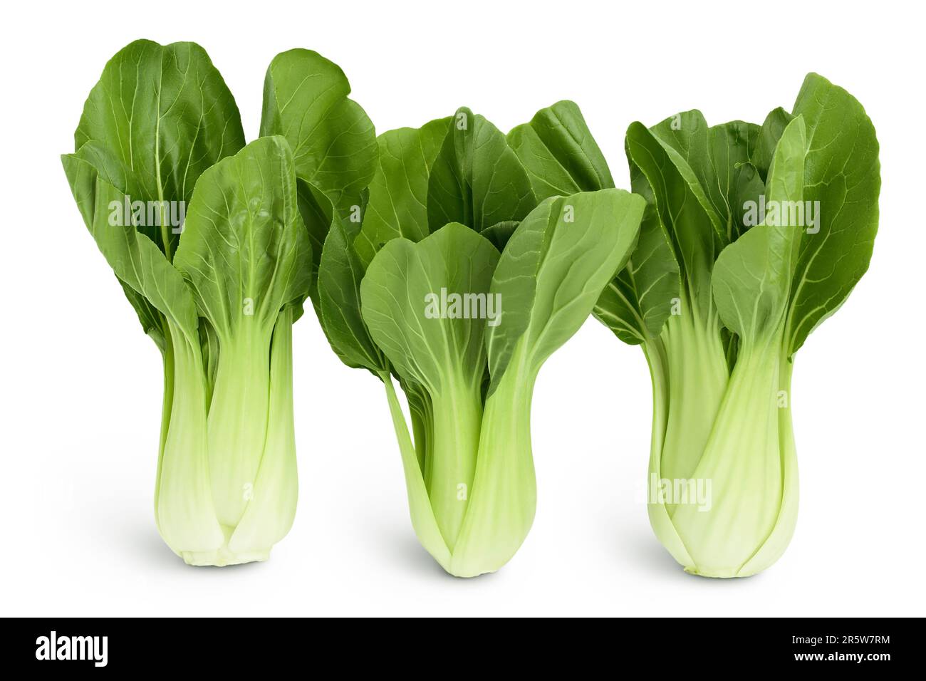 Fresh pak choi cabbage isolated on white background with full depth of ...