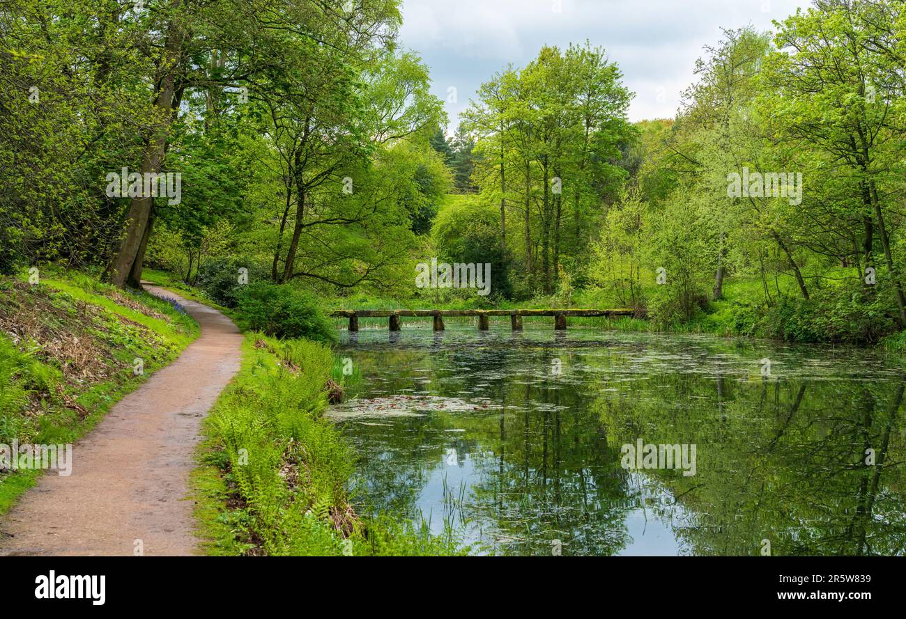 Old stone slab granite bridge across a pond or calm lake in English ...