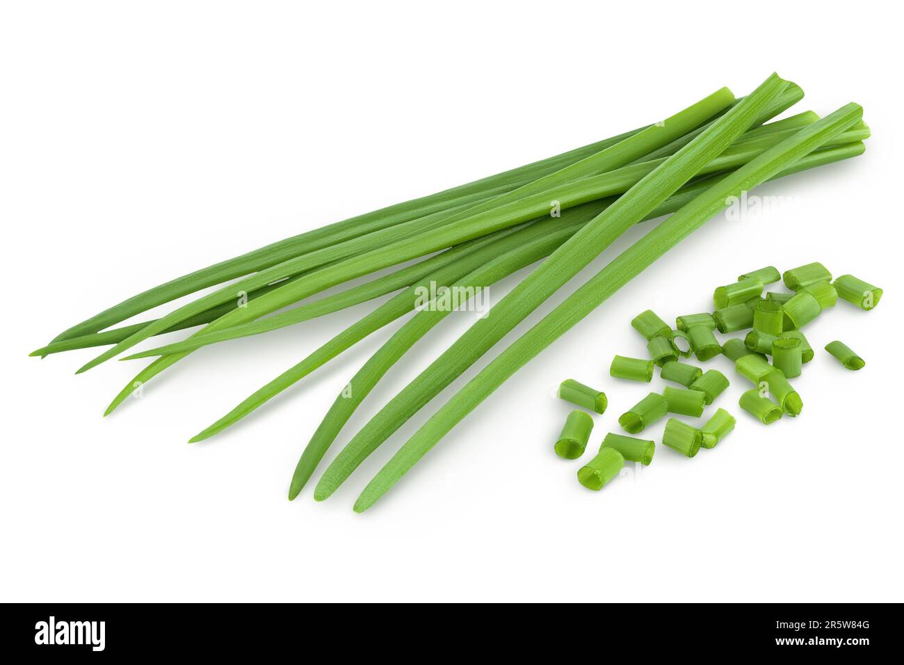 Green onion isolated on the white background with full depth of field ...