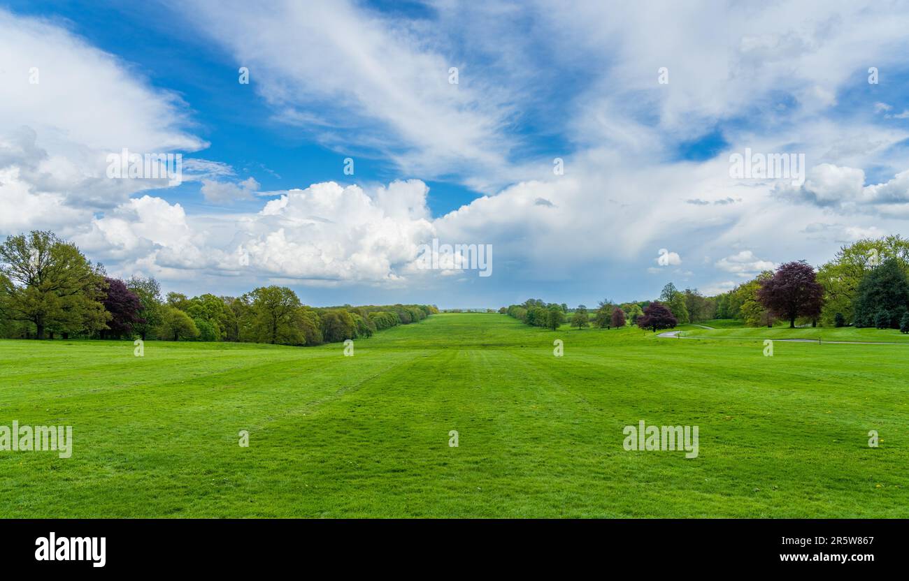 Wide grass filled view lined with trees in English parkland with ...