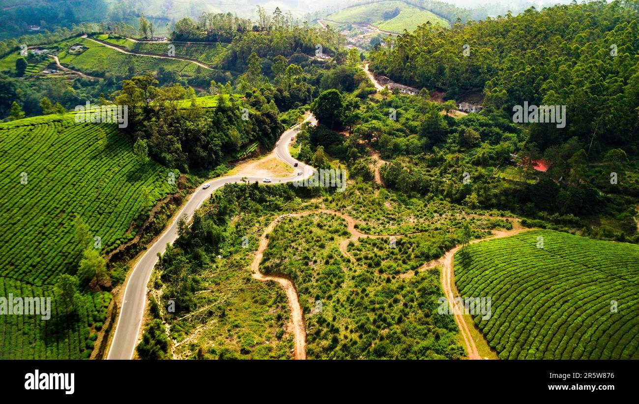 An aerial view of greenery field surrounded by dense trees Stock Photo ...