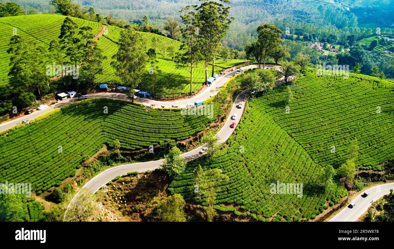 An aerial view of greenery field surrounded by dense trees Stock Photo ...