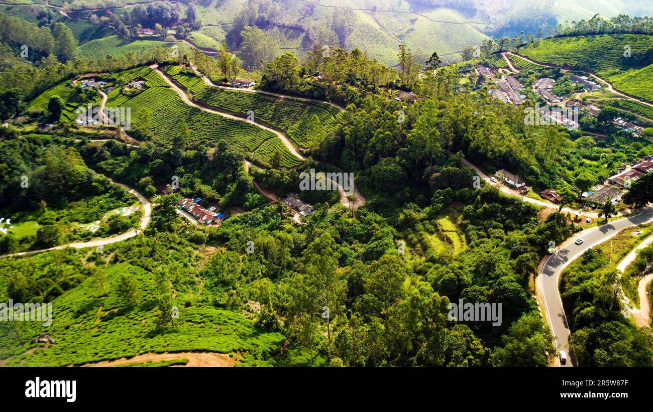 An aerial view of greenery field surrounded by dense trees Stock Photo ...
