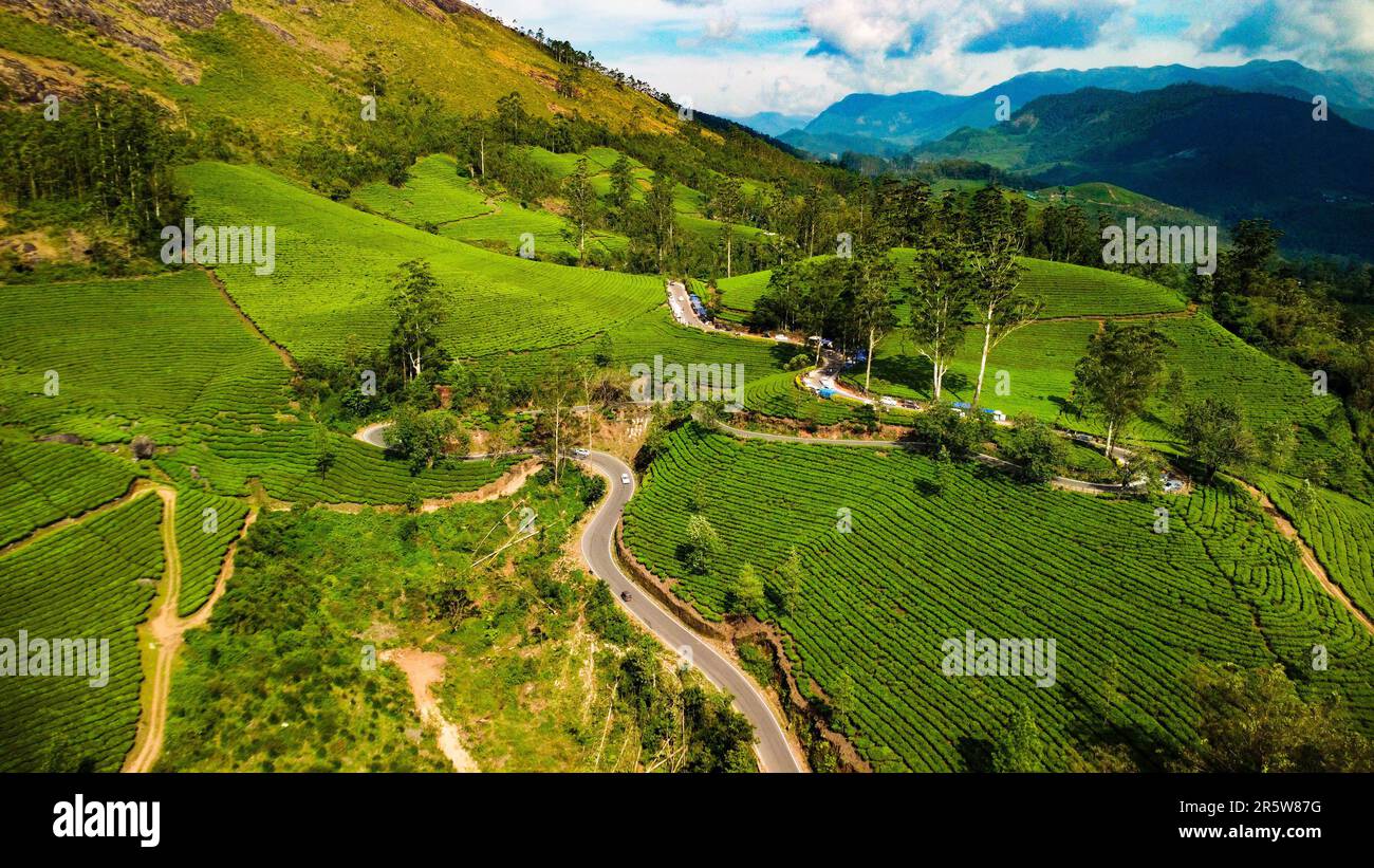 An aerial view of greenery field surrounded by dense trees Stock Photo ...