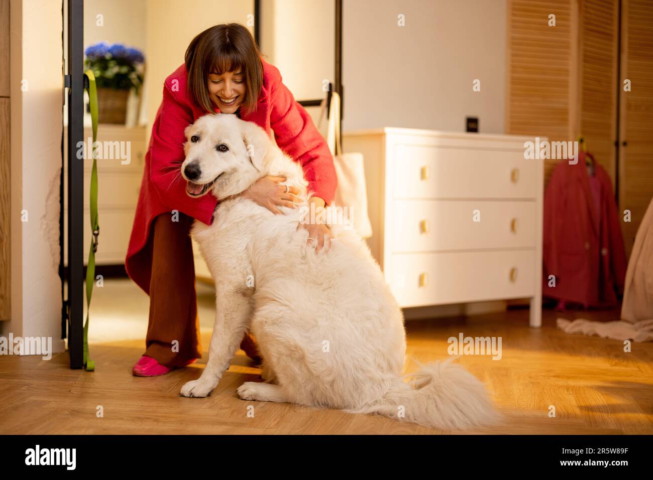 Dog meets its owner at home Stock Photo - Alamy