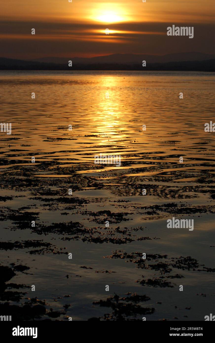 Montrose basin hi-res stock photography and images - Alamy