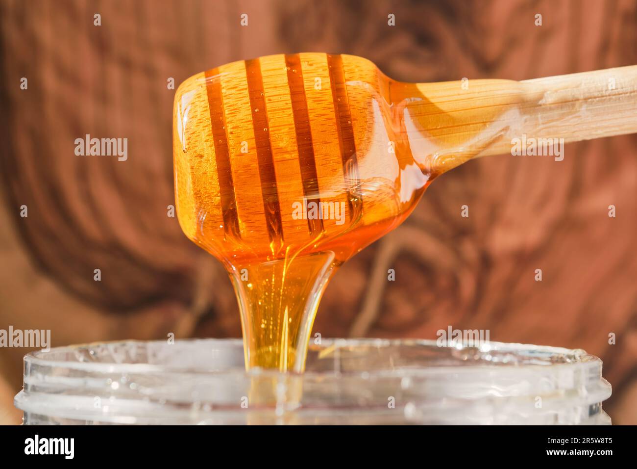 Honey flows from a wooden stick for honey into a jar. Horizontal frame ...