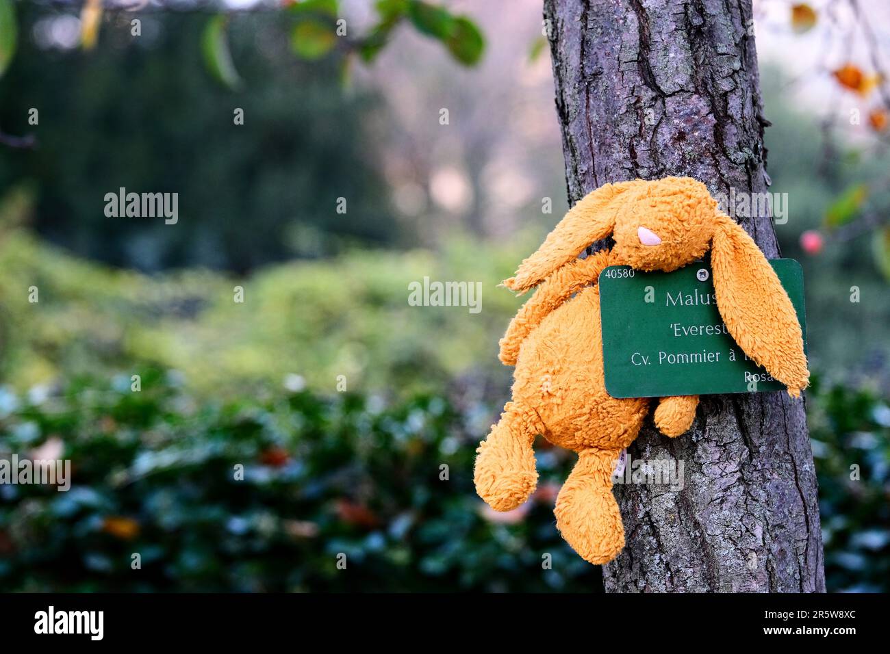 Whimsical sign featuring hi-res stock photography and images - Alamy