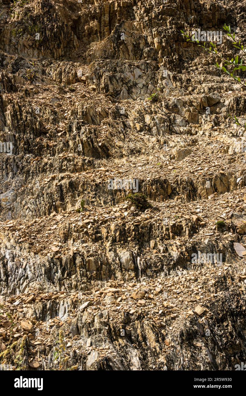 Lara state venezuela hi-res stock photography and images - Alamy