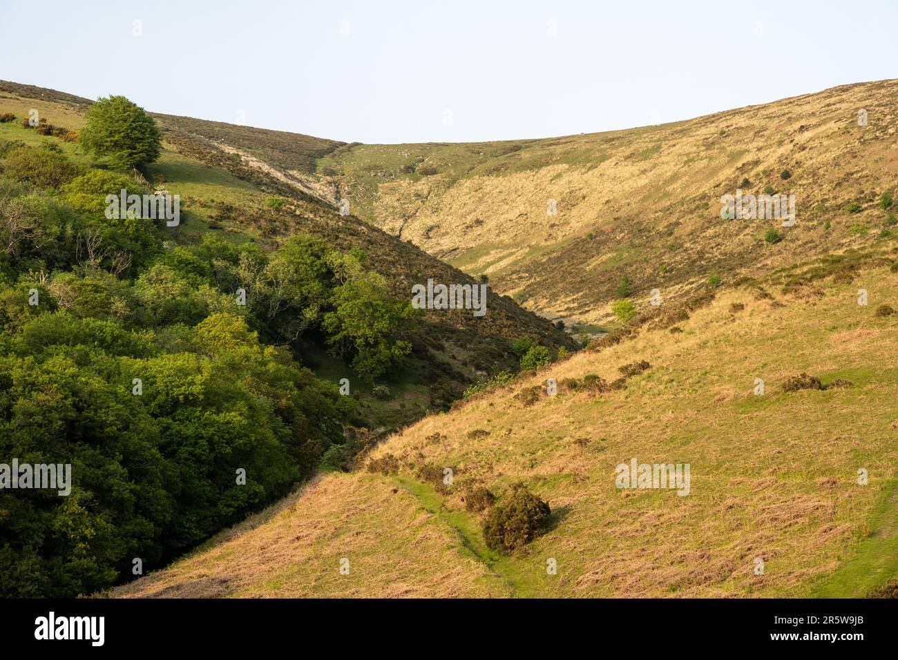 Sun shines on the steep slopes of Lake Down in England's Dartmoor ...