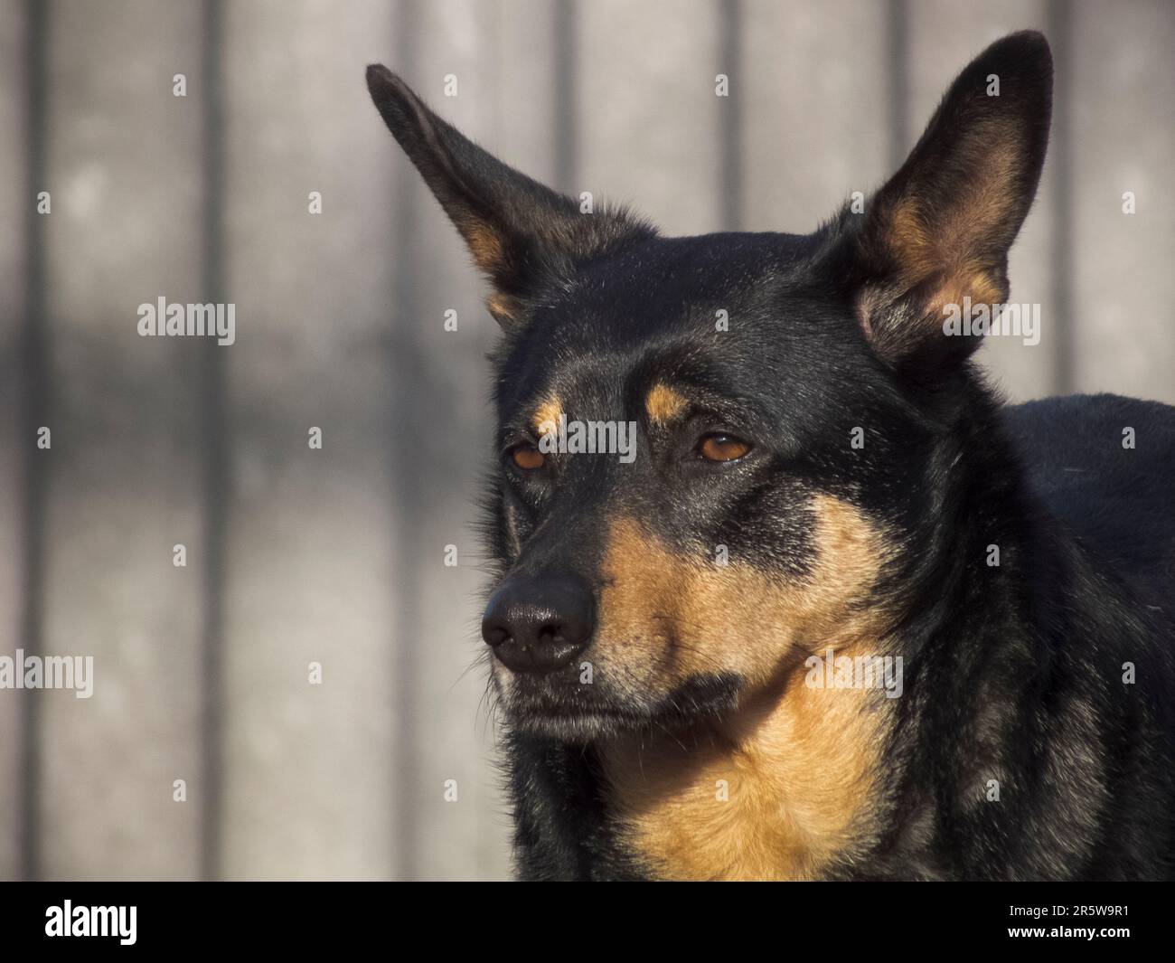 Wistful expression hi-res stock photography and images - Alamy